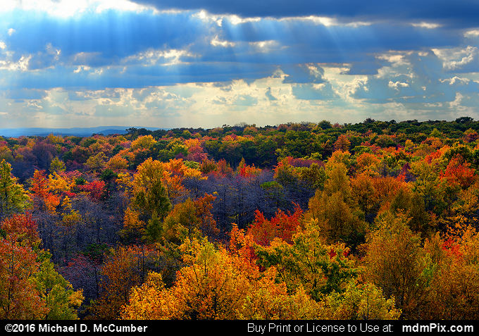 Town Map / Directory – Rockwood Borough